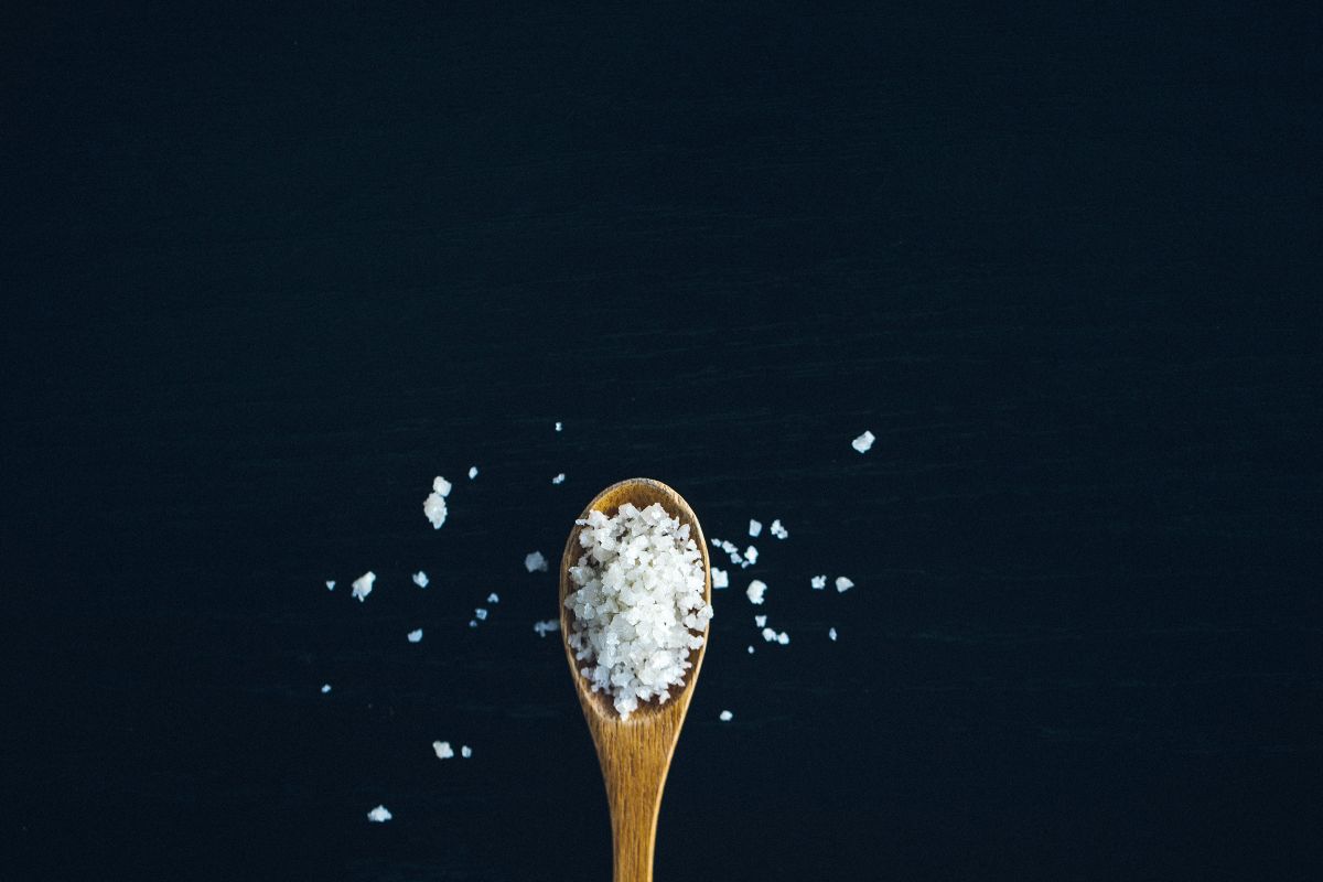 Plato Saludable, cómo hacerlo correctamente- Nutt